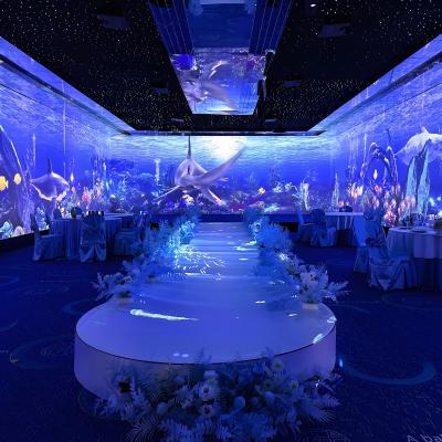 China Northern Lights Holographic Display Projector Immersive Dining For Wedding for sale