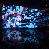 China Factory Customization Outdoor Mapping Projector Building Show 3D Mapping Projection for sale