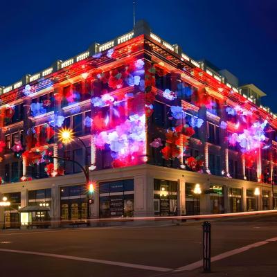 China Outdoor Laser Light Show Machine Animation Show Laser Commercial Lights Projector for sale