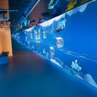 China Large 3D Immersive Wall Interactive Wall Projection System For Hotel for sale