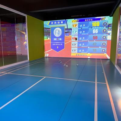 China Northern Lights Professional Indoor AR Sports Badminton Indoor Ball Games for sale