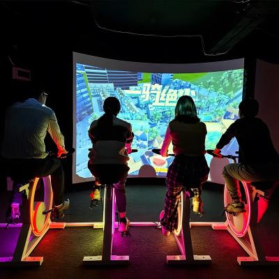 China Dynamic Bicycle Indoor Outdoor Park Playground Exercise Ar Interactive Sports Game for sale