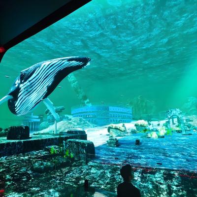 China Northern Lights Experiential Theatre Indoor Immersive Cinema for sale