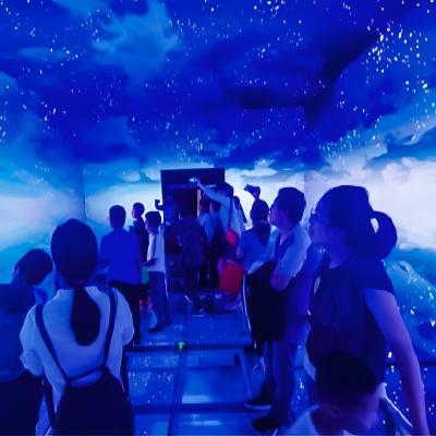 China AR Cinema Immersive Experience Hanging Glass Immersive Cinema for sale