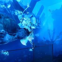 China VR Immersive Cinema Dynamic Simulator Cinema Led Screen For Exhibition Hall for sale