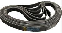 China 6PK794 Transmission Drive Belt - 6-Rib 794mm Truck Spare Parts for Automotive Power Transmission Systems for sale