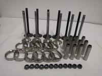 China Engine Cylinder Intake & Exhaust Valve Set - Truck Replacement Parts for 4-Stroke Diesel Engines for sale