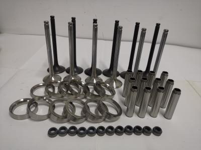 China Engine Cylinder Intake & Exhaust Valve Set - Truck Replacement Parts for 4-Stroke Diesel Engines for sale