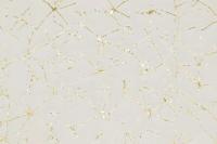 China Recycled Bestsellers 100 Polyester PV Velvet Browning Simple Casual Chiffon Velvet Glitter Print Fabric Velvet Burnout Fabric for sale