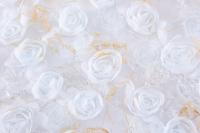 China 100 Polyester Rose Ribbon Embroidery White Wedding Laces Fabric for Womens Clothing Dresses Dancewear for sale