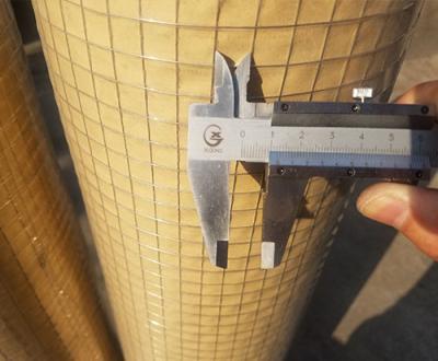 China Galvanized Welded Wire Mesh 0.5-12mm Diameter with 1/4-4 Inch Mesh Size for Industrial Applications for sale