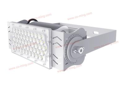 China IP65 160LM/W 100W Outdoor LED Flood Lights 2700-6500K Cct for sale