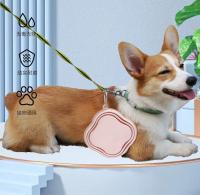 China Pet Dog Feeding Bowl 500/1000ML Capacity Portable and Eco Friendly Silicone Material for sale