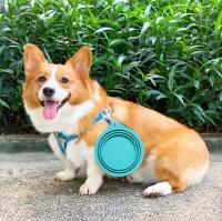 China Travel-Friendly Silicone Pet Bowl for Slow Food and Drinking Water on Outdoor Adventures for sale