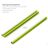 China Shenzhen Sells Bpa Free Silicone Openable Straw for Travel Custom Color 230*11mm/17g for sale