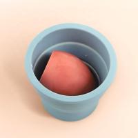China Beauty Egg Cleaning Tool Wellfine Silicone Folding Brush Cleaner Cup for Beauty Care for sale