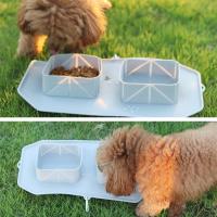China Outdoor Folding Double Bowl Pet Travel Silicone Dog Bowl with Anti-slip Silicone Mat for sale