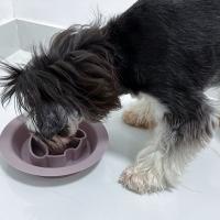 China Voltage Not Applicable Silicone Dog Lick Bowl Interactive Slow Feeder Design for sale