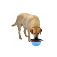 China Drinking Water Feeding Slow Food Bowl for Dogs and Cats Bowl Feeder Type NO LCD Display for sale