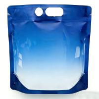 China Stand Up Spout Wine Packaging Bags Resealable Custom Handle Private Label Juice Storage for sale