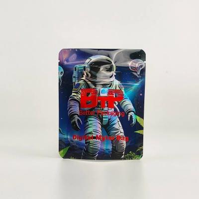 China Zipper Closure Resealable Mylar Bags Waterproof Ziplock Doypack Plastic Stand Up Packaging for sale