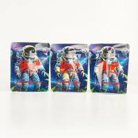 China Zipper Closure Resealable Mylar Bags Waterproof Ziplock Doypack Plastic Stand Up Packaging for sale