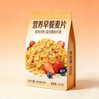 China Custom Printed Logo Cereal Aluminum Foil Moisture Proof Flat Bottom Plastic Packaging Bag for sale