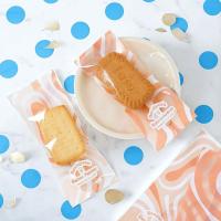 China Biscuit Cookie Custom Digital Printed Mylar Back Sealed Pillow Food Grade Packaging Bag for sale