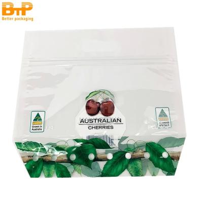 China Fruit Protection Packaging Bags Stand Up Pouch Resealable Zipper Closure with Air Holes for sale