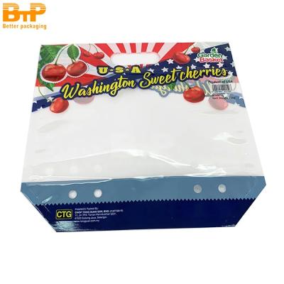 China Customized Logo Mylar Bag Plastic Doypack Food Packaging Stand Up Zipper Pouch for sale