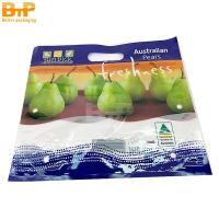 China Mylar Doypack Fruit Food Packaging Custom Printed Resealable Ziplock Stand Up Pouch for sale