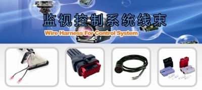 China Custom Wire Harness for Control System 24 AWG 300V Industrial Grade for sale
