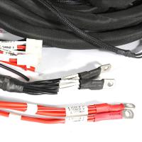 China 600v High Voltage Wire Harness for Industrial Applications for sale