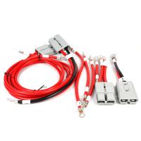 China 600v High Voltage Wire Harness for Industrial Applications for sale
