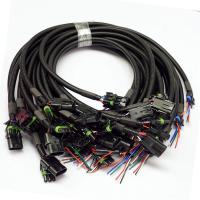 China Custom Brass Automotive Wiring Harness 18 AWG PVC Cable Jacket for Reliable Connections for sale