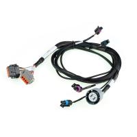 China Automotive Wiring Harness for customized for sale