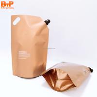 China Printing Plastic Stand up Plastic Liquid Nozzle Packet Spout Pouch Bag Shampoo Cosmetic Hand Wash Bags With Euro Hole for sale
