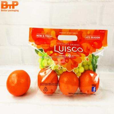 China Biodegradable Material BOPP/CPP Orange Fresh Fruit Protection Packaging Zipper Bag With Hand Pick Hole for sale