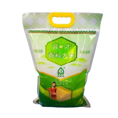 China 5kg 10kg Rice Packaging Bag Custom Logo Printed Food Package Plastic Nylon PE Package for  Wheat Grain Storage Pouch Bag for sale