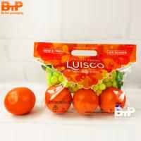 China Custom Printed Fresh Food Orange Fruit Packaging Bag Supermarket Fruit Plastic Bag with Zipper Custom Printed Cheap Price for sale