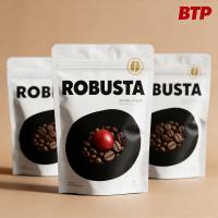China Custom Printed Food Grade Heat Seal Stand up Pouch with Degassing Valve and Resealable Zipper Matte Finish Coffee Packaging for sale