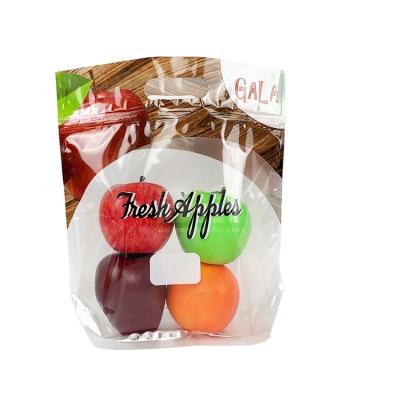 China Custom logo Printed Mylar Bag Wholesale Stand up Plastic Transparent Fruit Packaging Pouch Resealable Zipper Bag for sale