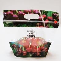 China Custom Zip Lock Plastic Bags With Vents Free Sample Anti Fog Fresh Fruits Vegetables Packaging Pouch for sale