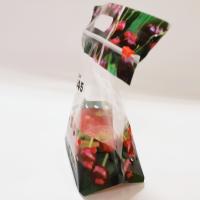 China Custom Zip Lock Plastic Bags With Vents Free Sample Anti Fog Fresh Fruits Vegetables Packaging Pouch for sale