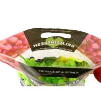 China Custom Zip Lock Plastic Bags With Vents Free Sample Anti Fog Fresh Fruits Vegetables Packaging Pouch for sale