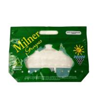 China Custom High Quality Zip Lock Plastic Bags for Fresh Food Storage Pouch Logo Printing Food Packaging for sale
