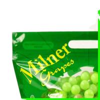 China Custom High Quality Zip Lock Plastic Bags for Fresh Food Storage Pouch Logo Printing Food Packaging for sale