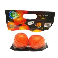 China Custom Logo Transparent Cherry Grape Fruit Stand up Pouch with Zipper and Handle Recyclable Plastic Packaging Bags for sale