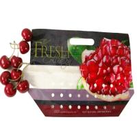 China Custom Logo Transparent Cherry Grape Fruit Stand up Pouch with Zipper and Handle Recyclable Plastic Packaging Bags for sale