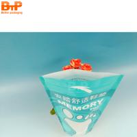 China Customized Printed Shoe-pad Packing bag Heat Seal Shoe Padding Reusable Zipper Insole Packaging Plastic Bags for sale